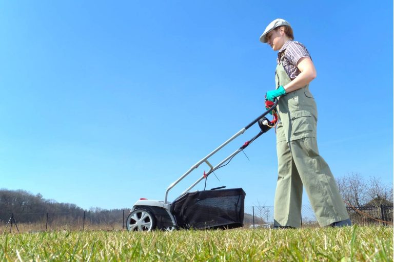 The 10 Best Lawn Scarifiers in the UK for 2024