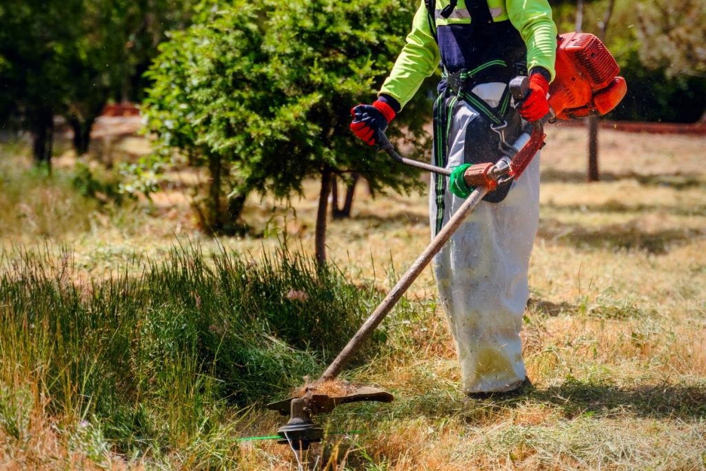 How to Start a Strimmer | Surreal Home