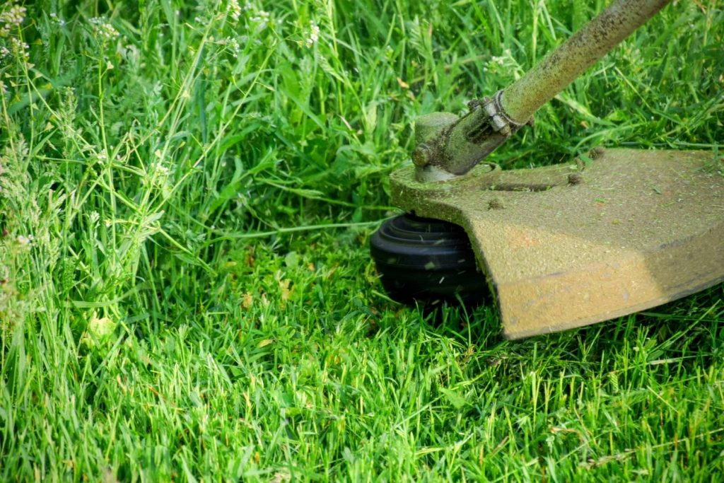 How to Start a Strimmer | Surreal Home